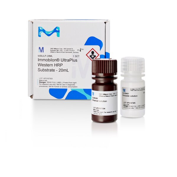 Immobilon® ECL UltraPlus Western HRP Substrate - 20mL | WBULP-20ML